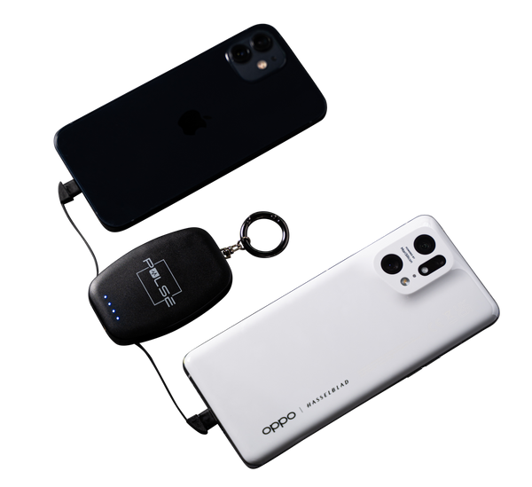 Pulse Emergency Key Ring Power Banks